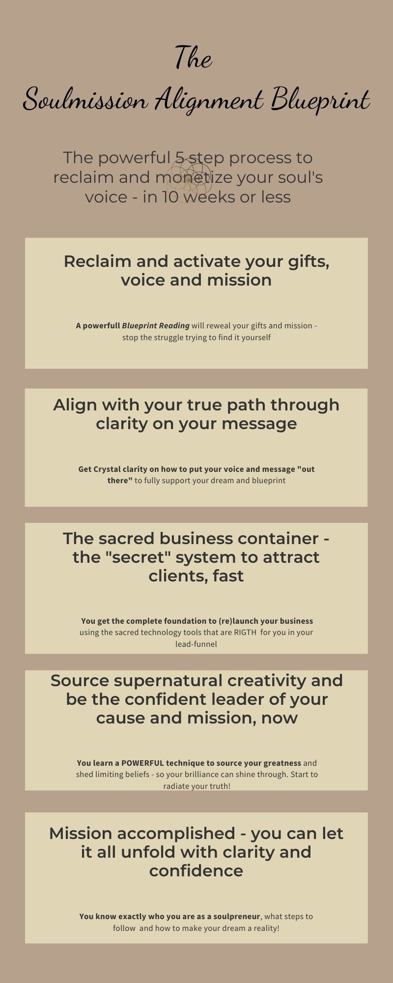 Soulmissionalignmentblueprint - soulbusinesssolution.com